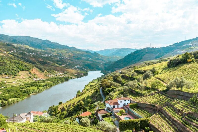Porto: Douro Valley Tour with Wine Tasting, Cruise and Lunch - Overview of the Tour Experience