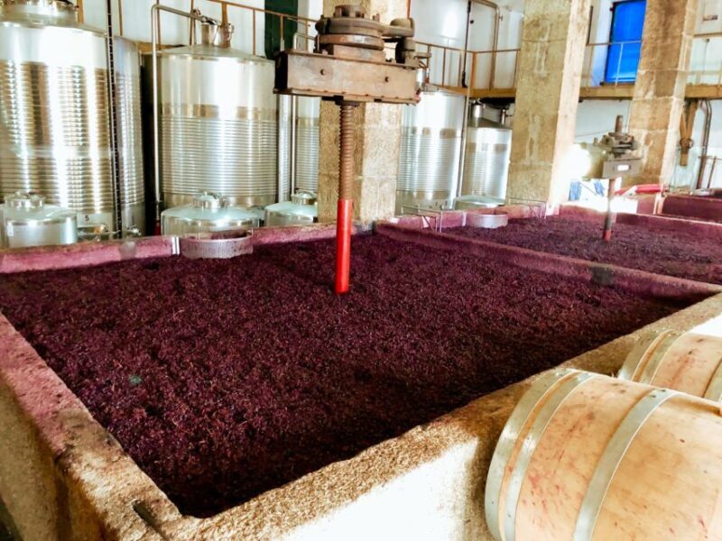 Porto: Douro Valley Tour with Wine Tasting, Cruise and Lunch - Considerations for Future Travelers