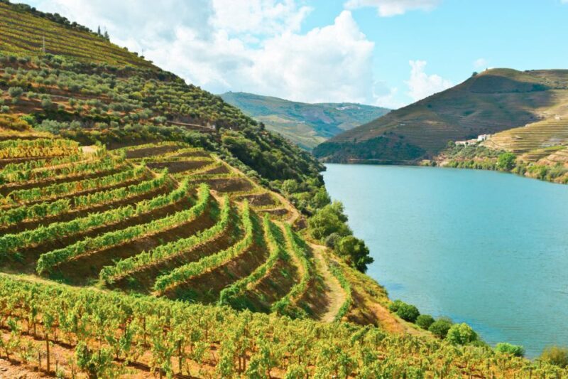 Porto: Douro Valley Tour with Wine Tasting, Cruise and Lunch - Who Is This Tour Best For?
