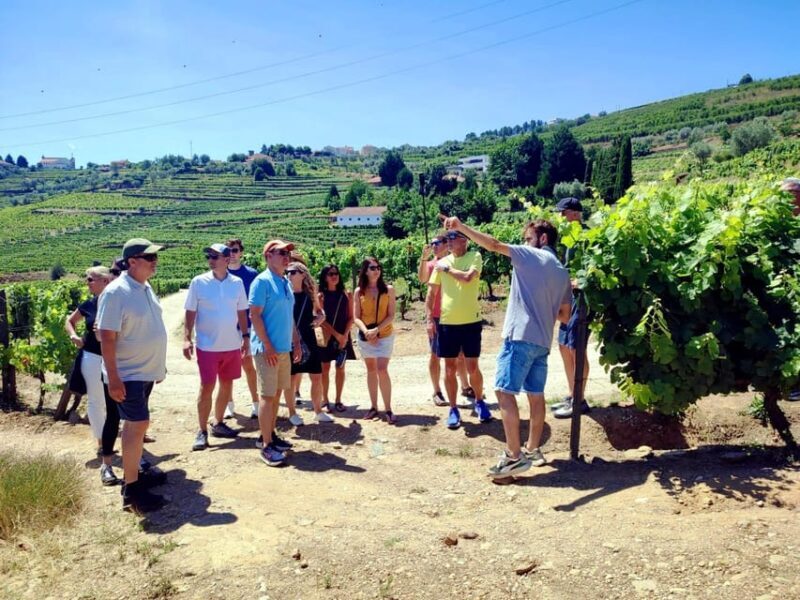 Porto: Douro Valley Vineyards Tour with Lunch & River Cruise - The Experience in Detail