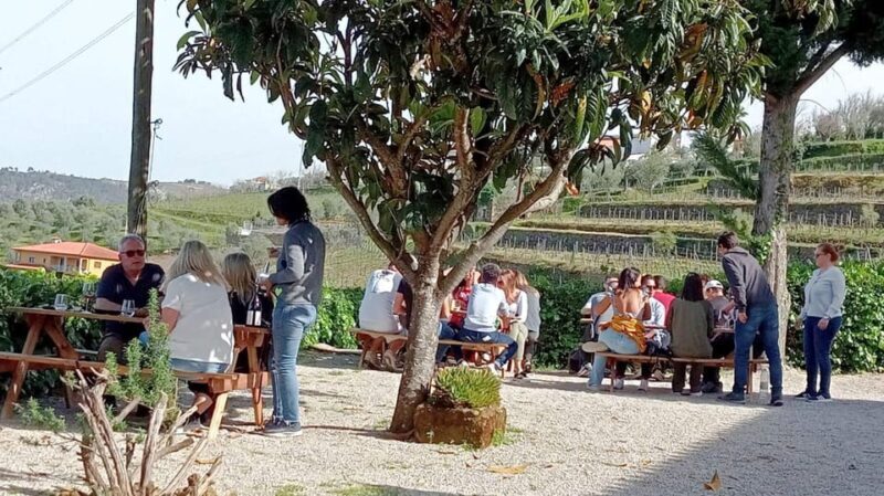 Porto: Douro Valley Vineyards Tour with Lunch & River Cruise - Final Thoughts