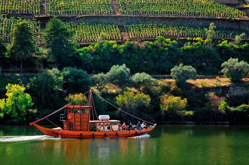 Porto: Douro Valley Wine Tour in a Small Group with a Boat Ride, Wine & Food - Potential Considerations  