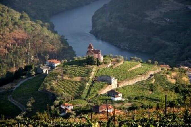 Porto: Douro Valley Wine Tour Including Lunch - Key Points  