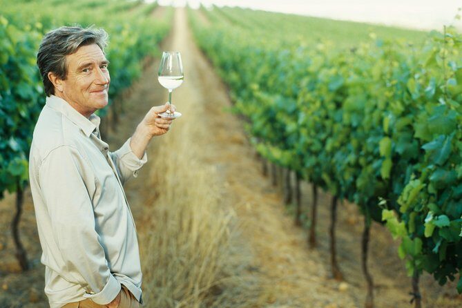 Porto: Douro Valley Wine Tour Including Lunch - Final Thoughts: Is This Tour for You?