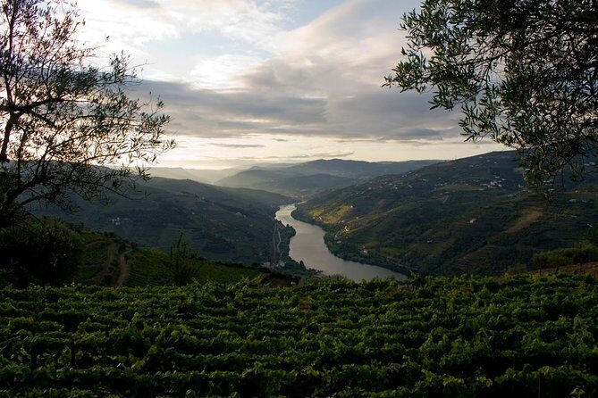 Porto: Douro Valley Wine Tour Including Lunch - Frequently Asked Questions