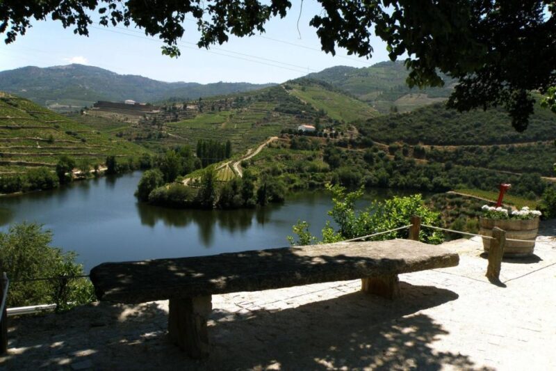 Porto: Douro Valley Wine Tour - Exploring the Douro Valley Wine Tour in Detail