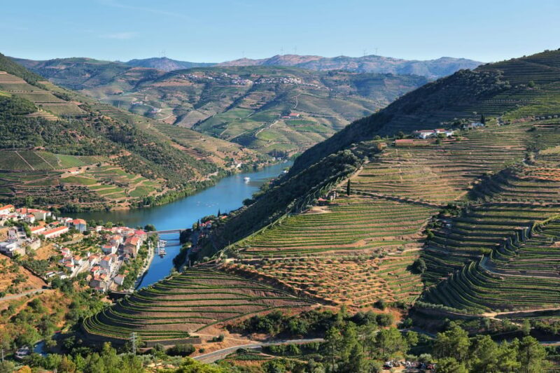 Porto: Douro Valley Wine Tour with a Sommelier & Boat Trip - Why This Tour Is for You