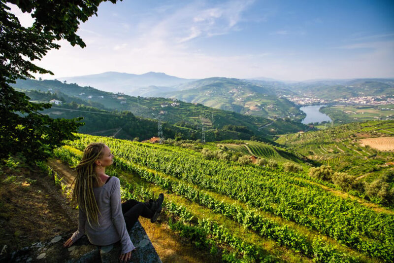 Porto: Douro Valley Wine Tour with a Sommelier & Boat Trip - FAQ