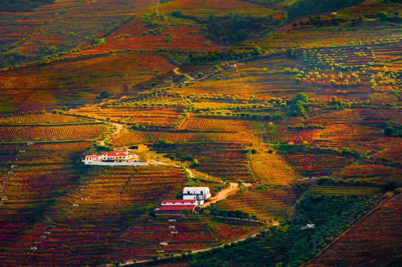 Porto: Douro Valley Wine Tour with a Sommelier & Boat Trip - The Final Word
