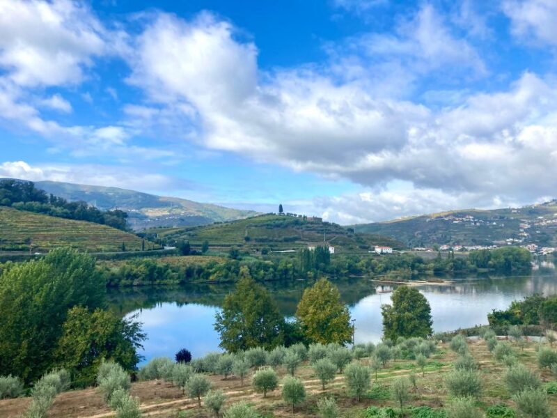 Porto: Douro Valley Wine Tour with Tastings, Boat, and Lunch - Key Points