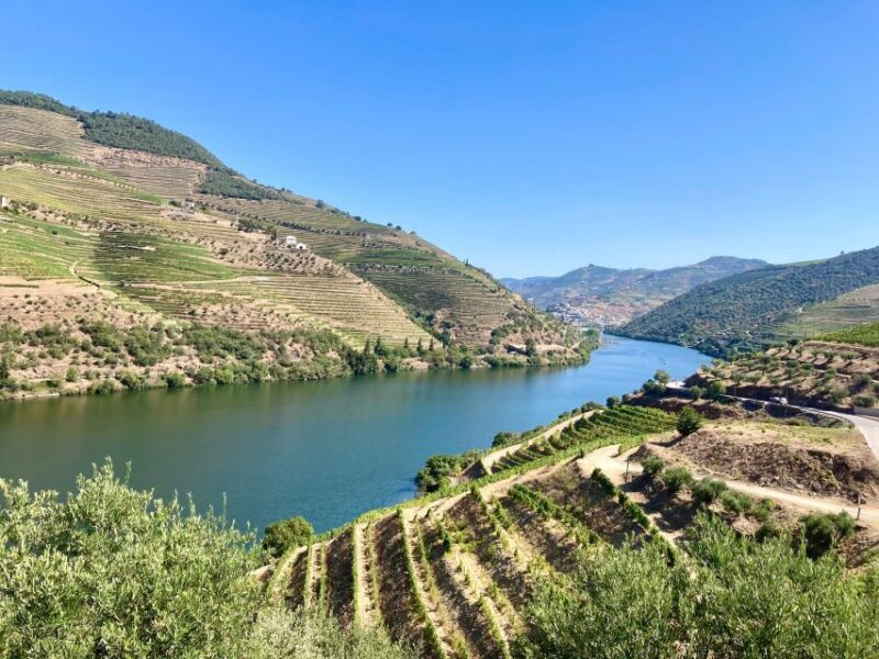 Porto: Douro Valley Wine Tour with Tastings, Boat, and Lunch - Scenic Boat Ride: Douro from the Water