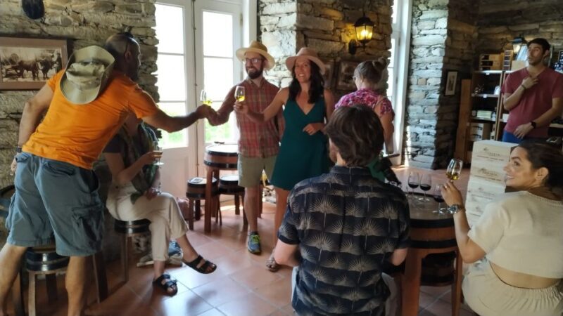 Porto: Douro Valley Wine Tour with Tastings, Boat, and Lunch - Wine Tastings and Cultural Insights