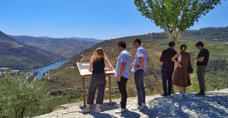Porto: Douro Valley Wine Tour with Tastings, Boat, and Lunch - Scenic Drives and Photo Stops