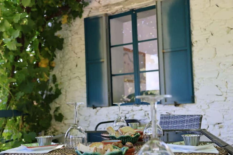 Porto: Douro Valley Wine Tour with Tastings, Lunch & Cruise - FAQs: Practical Questions Answered  