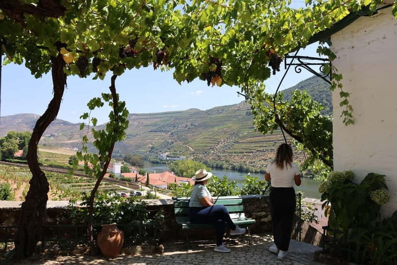 Porto: Douro Valley Wine Tour with Tastings, Lunch & Cruise - Final Thoughts  