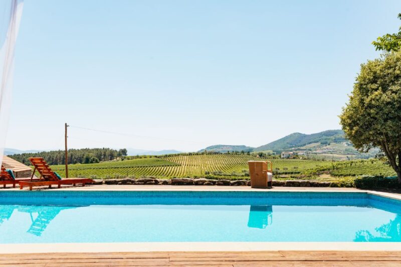 Porto: Douro Valley with Winery Lunch, Tastings & Cruise - FAQs