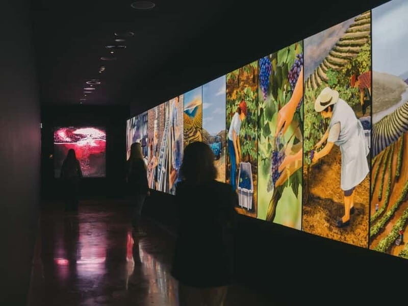 Porto: Fonseca Wine Cellar & WOW The Wine Experience - An Honest Breakdown of What to Expect