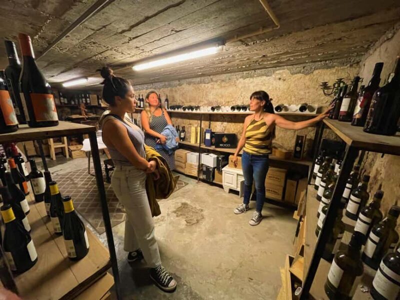 Porto: Food and Wine tasting tour of Hidden Gems - The Experience’s Strengths