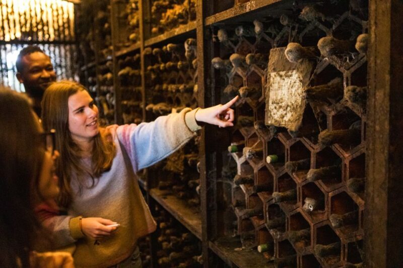 Porto: Food & Wine Tasting Walking Tour with Port Wine Cave - An In-Depth Look at the Porto Food & Wine Tour