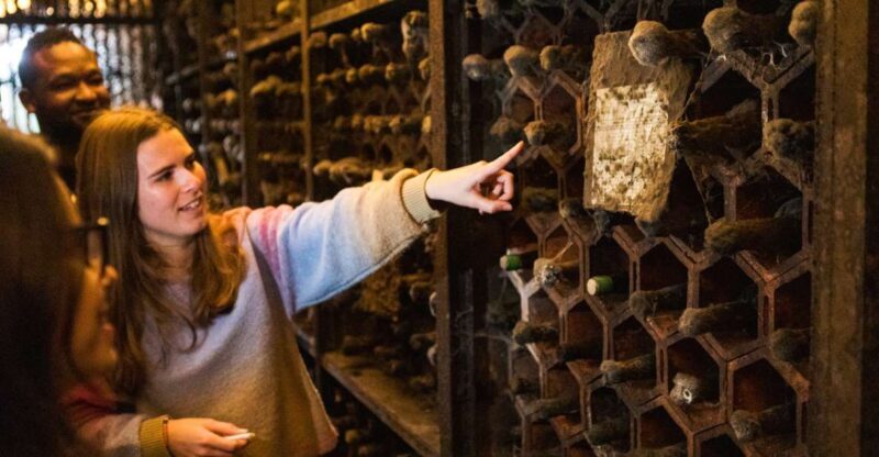 Porto: Food & Wine Tasting Walking Tour with Port Wine Cave - Who Will Love This Tour?