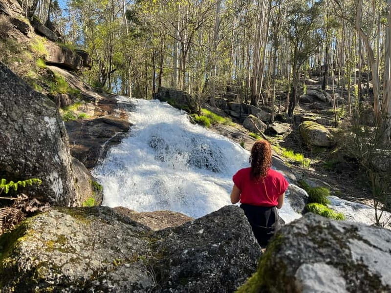 Porto: Forest Waterfalls & Roman Ruins Trail Tour - Key Points