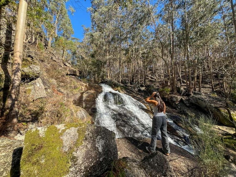 Porto: Forest Waterfalls & Roman Ruins Trail Tour - An In-Depth Look at the Porto Forest Waterfalls & Roman Ruins Tour