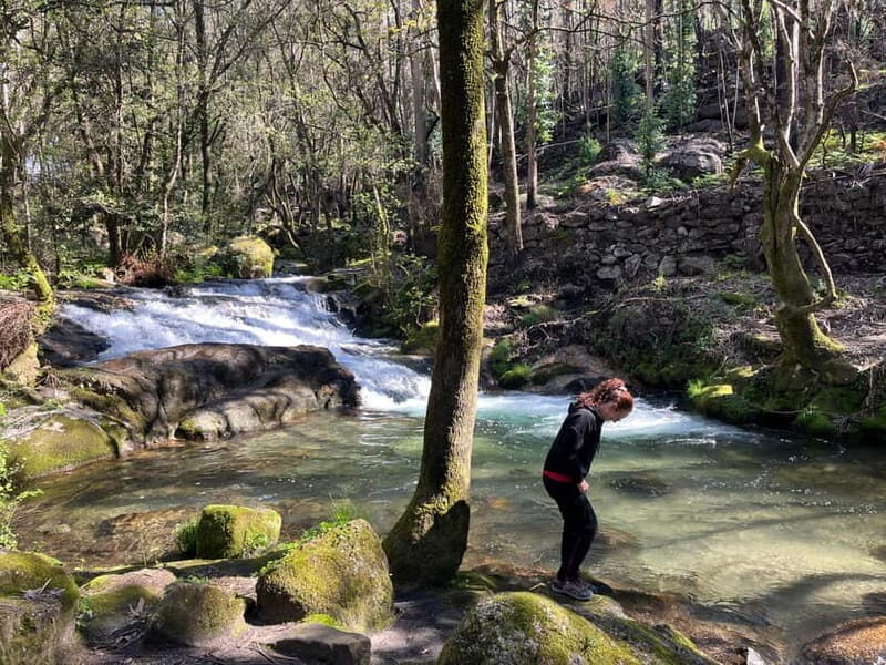 Porto: Forest Waterfalls & Roman Ruins Trail Tour - Who Should Consider This Tour?