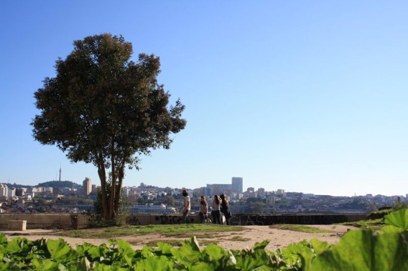 Porto: Half-Day Jewish Tour - Porto: Half-Day Jewish Tour — An In-Depth Look