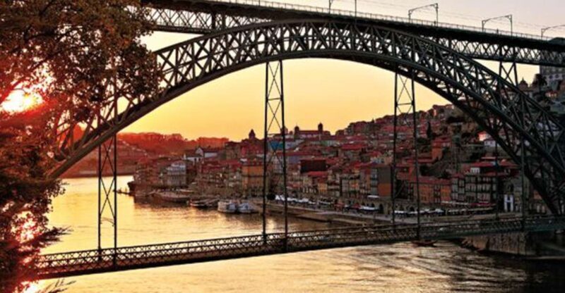 Porto Half-Day Tour & Port Wine Tasting - Who Is This Tour Best Suited For?