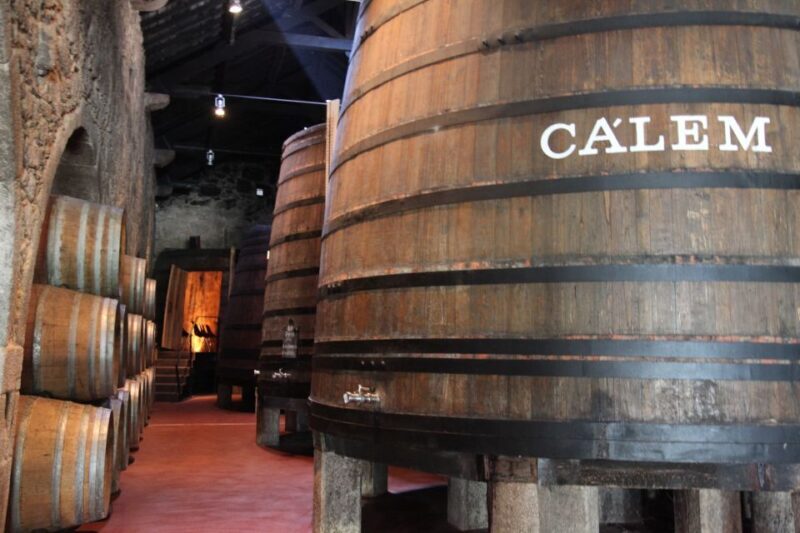 Porto: Hop-on Hop-off Bus with Optional Cruise & Wine Cellar - The Itinerary and What to Expect