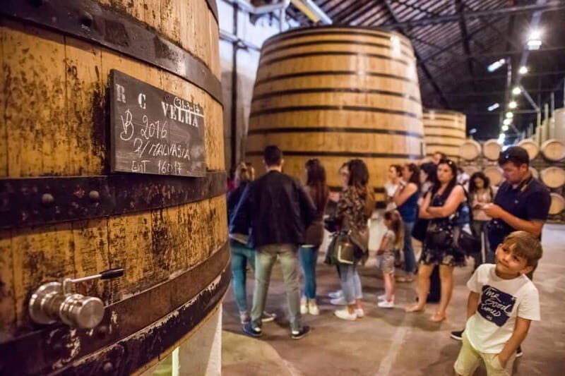 Porto: Magic Train Tour and Port Wine Cellar with Tastings - Key Points