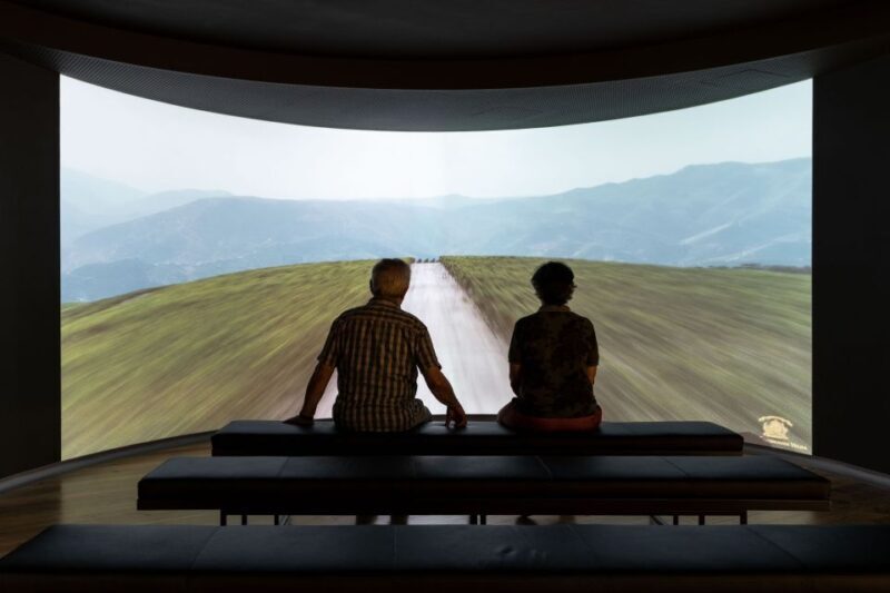 Porto: Museum of the Oldest Appellation in the World Ticket - Why This Tour Is Worth It