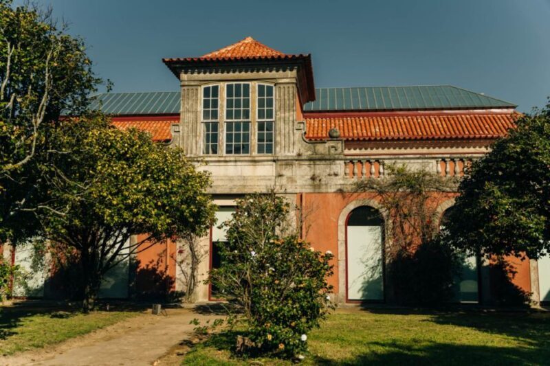 Porto: National Museum Soares dos Reis E-Ticket & City Tour - A Practical Breakdown of Your Visit