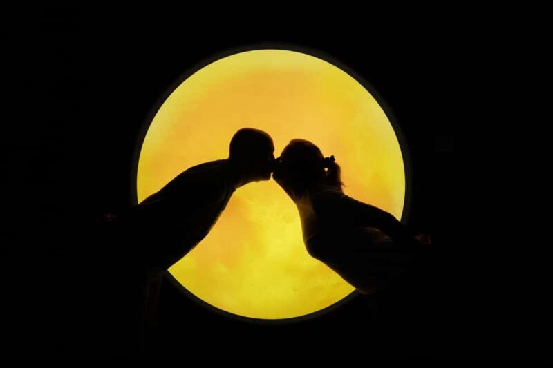 Porto: Neonia Immersive Museum Entry Ticket - The Experience for Different Visitors