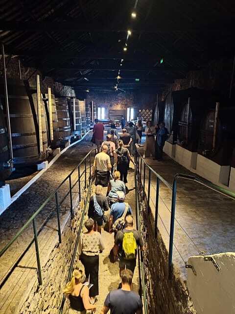Porto: Port and Douro Wine Walking Tour with 9 Tastings - Starting Point & First Impressions