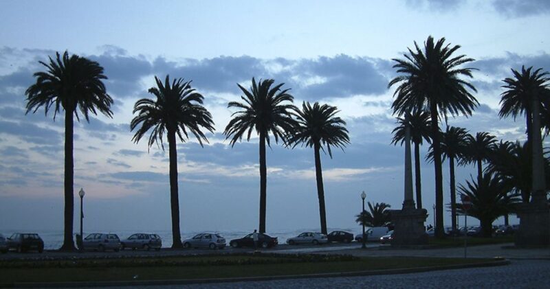 Porto: Private Bike Tour with a Local Guide - Key Points