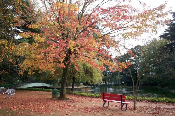 Porto: Private e-Bike Journey Through Historic Center - FAQ