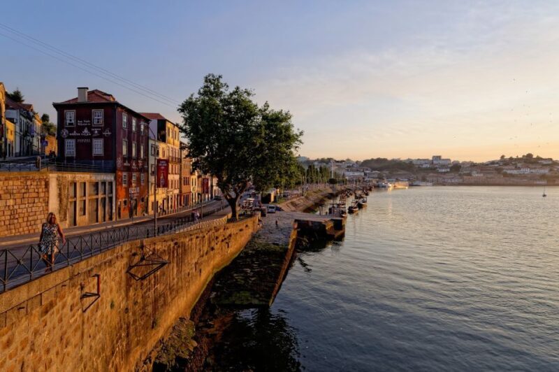 Porto Private Half Day Walking Tour: Cruise & Wine Tasting - Porto Private Half Day Walking Tour: Cruise & Wine Tasting — A Detailed Look