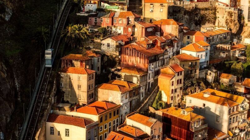 Porto Private Half Day Walking Tour: Cruise & Wine Tasting - Key Points