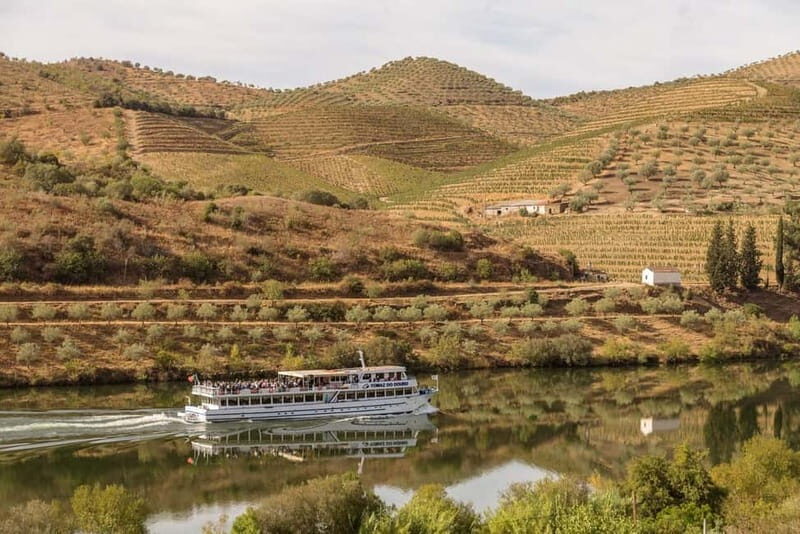 Porto/Regua/Porto (and reverse): Douro River Cruise + Lunch - Possible Drawbacks and Considerations