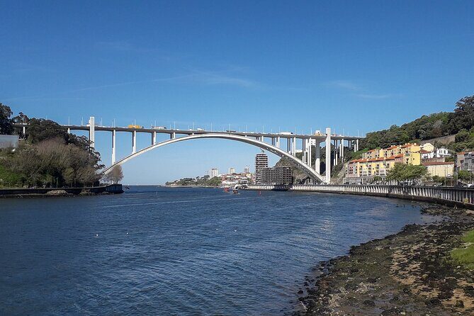 Porto Riverbank E-Bike Tour - Atlantic Coast, Gardens - Final Thoughts