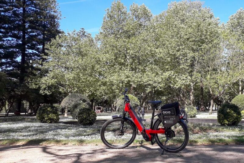 Porto Riverbank Tour on an e-bike: Atlantic Coast, Gardens - Final Thoughts