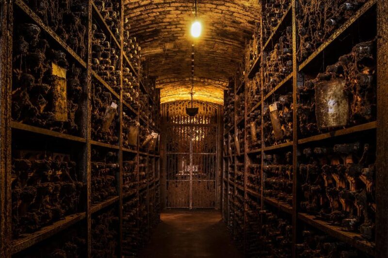 Porto: Royal Oporto Tour na Real Companhia Velha - A Deep Dive into the Real Companhia Velha Tour