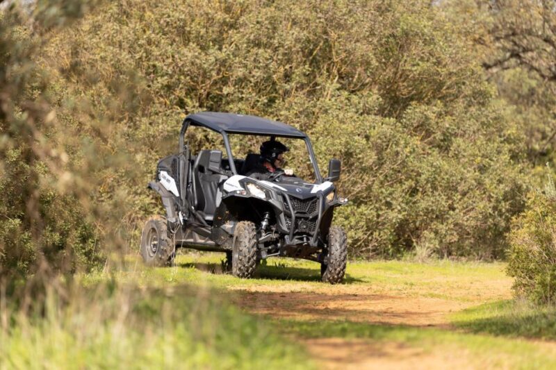 Porto Santo: 180 Minutes Off-Road Buggy Tour - The Itinerary and Scenic Highlights