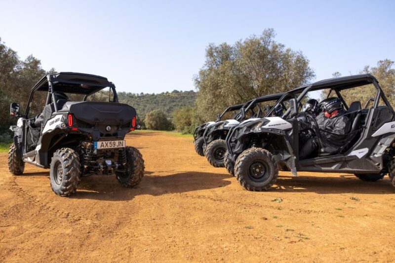 Porto Santo: 180 Minutes Off-Road Buggy Tour - Practical Details and Cost-Benefit Analysis