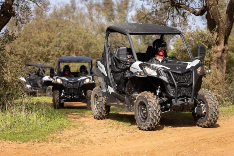 Porto Santo: 180 Minutes Off-Road Buggy Tour - Who Should Consider This Experience?
