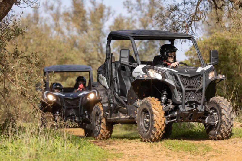 Porto Santo: 180 Minutes Off-Road Buggy Tour - Final Thoughts