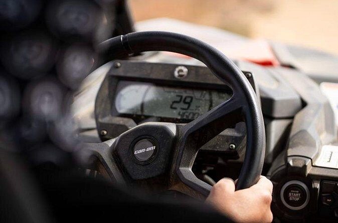 Porto Santo Buggy Tour 90 Minutes of Adventure - Who Should Consider This Tour?