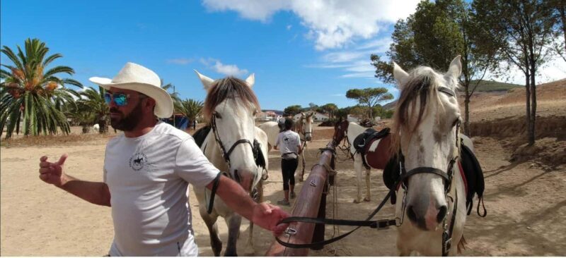 Porto Santo Island: Horse Riding - Who Should Book This Experience?