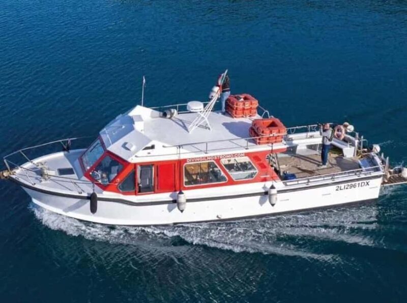 Porto Santo Stefano: Snorkeling Day Trip with Lunch - Key Points